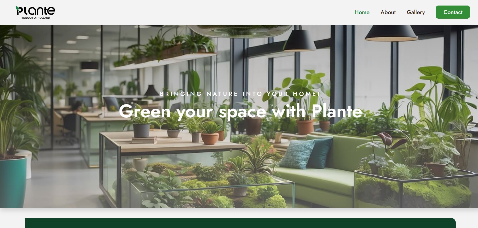 M Nabeel | Full Stack Developer